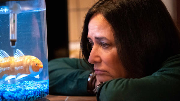 Better Things | Stream on Hulu